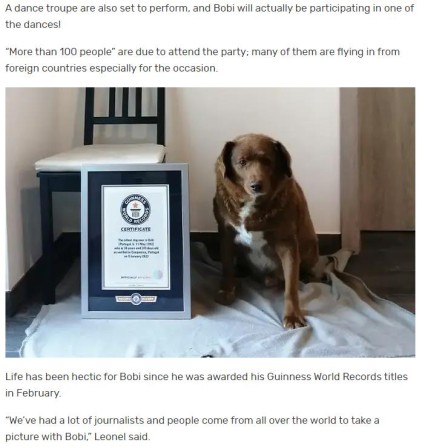 guinnessworldrecords - World’s oldest dog ever celebrates 31st birthday ...