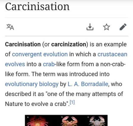iflscience - Understanding Carcinization: The Evolutionary Trend Toward ...