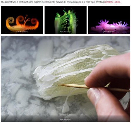makezine - Hydrophytes - 4D Printing - Designing Intelligent and ...