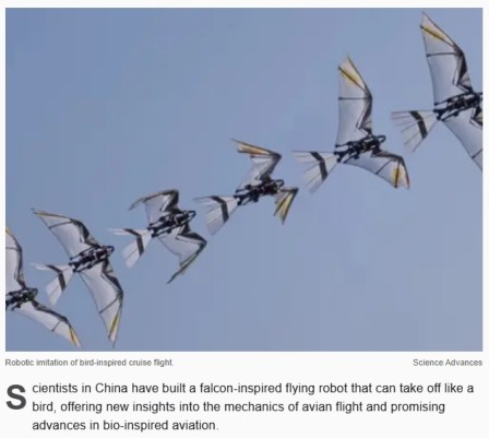 interestingengineering - Falcon-inspired robot mimics natural bird ...